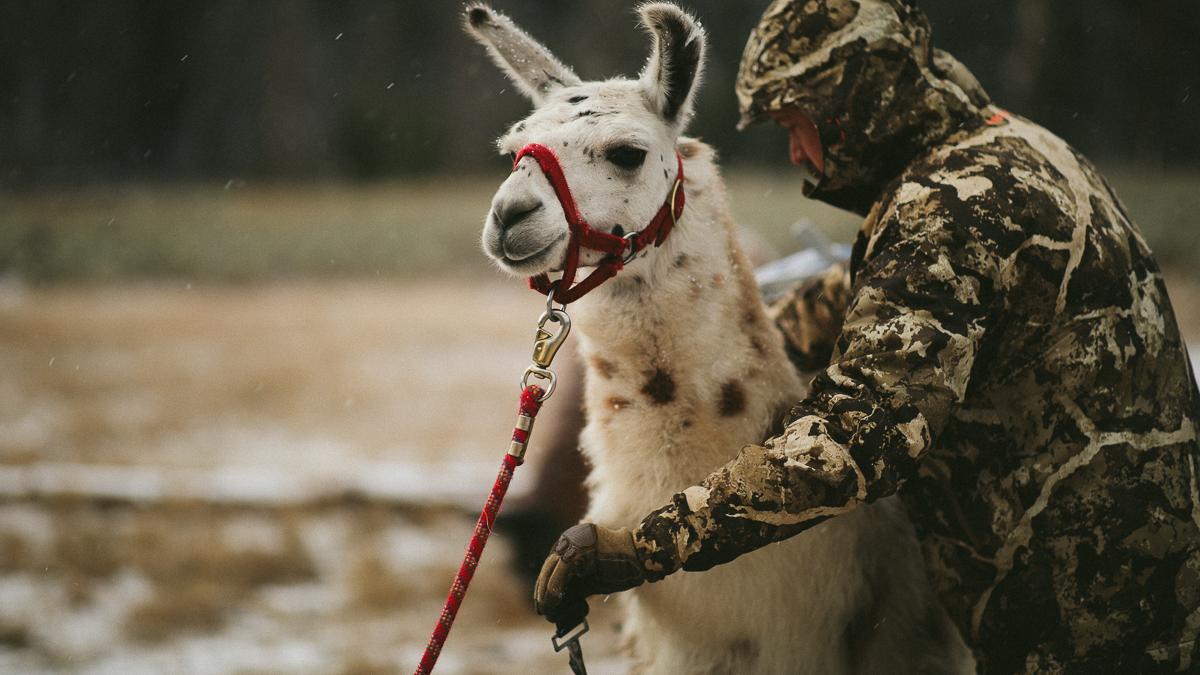 Top Ten Best Backcountry Hunting Gear of 2020-Staff Picks ...