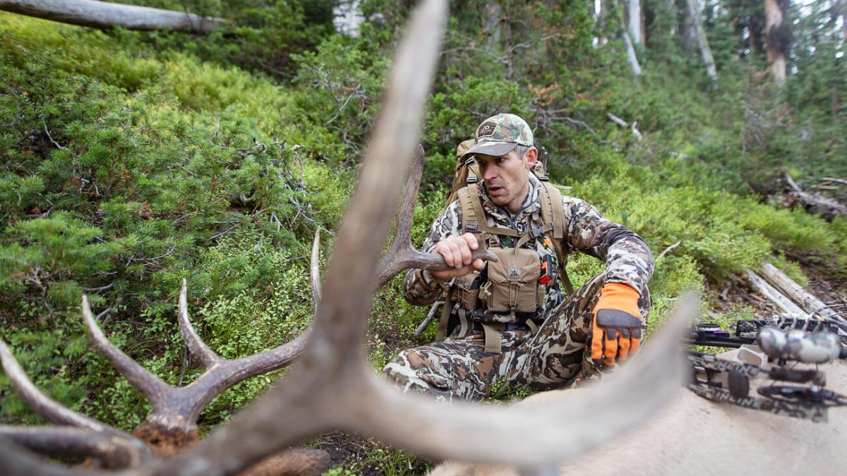 Lost Basin: An Archery Elk Story | argalioutdoors.com